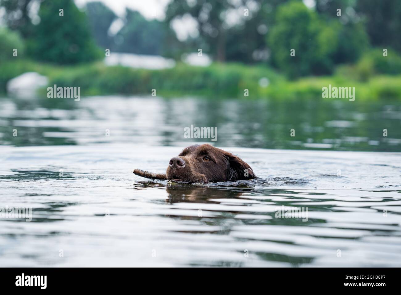 River piddle hi-res stock photography and images - Alamy