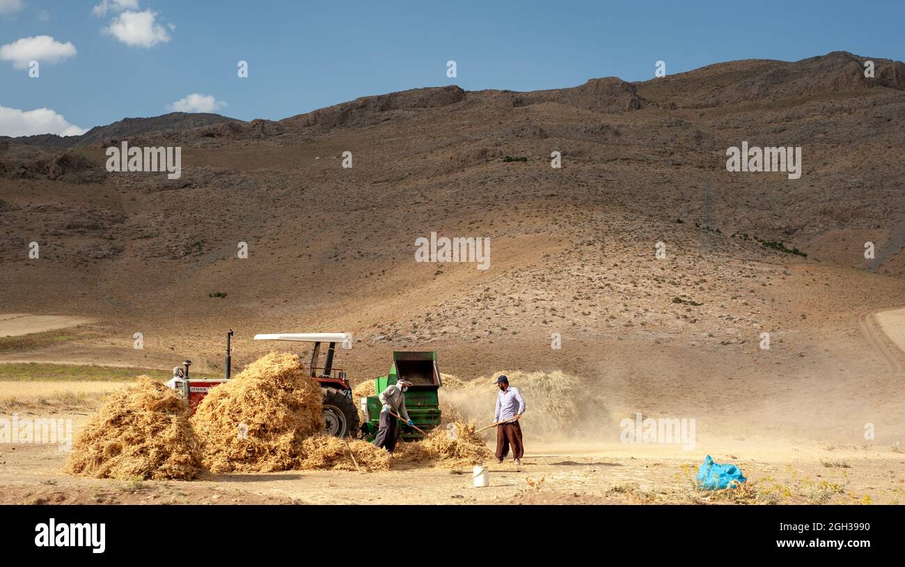 khuzestan, iran- july 27 2021 people or workers are working with old ...