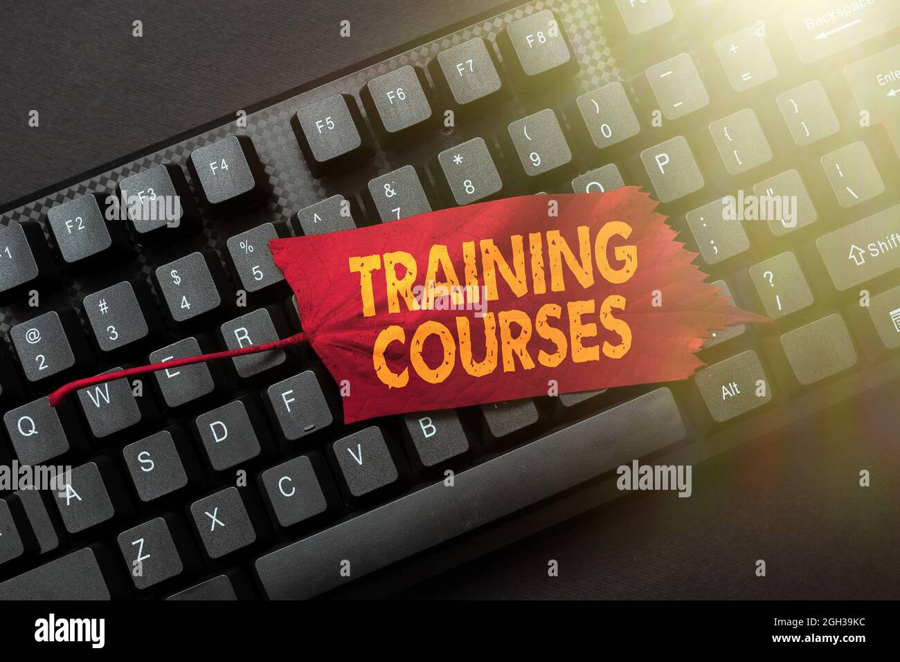 Text caption presenting Training Courses. Word for lessons to teach the ...