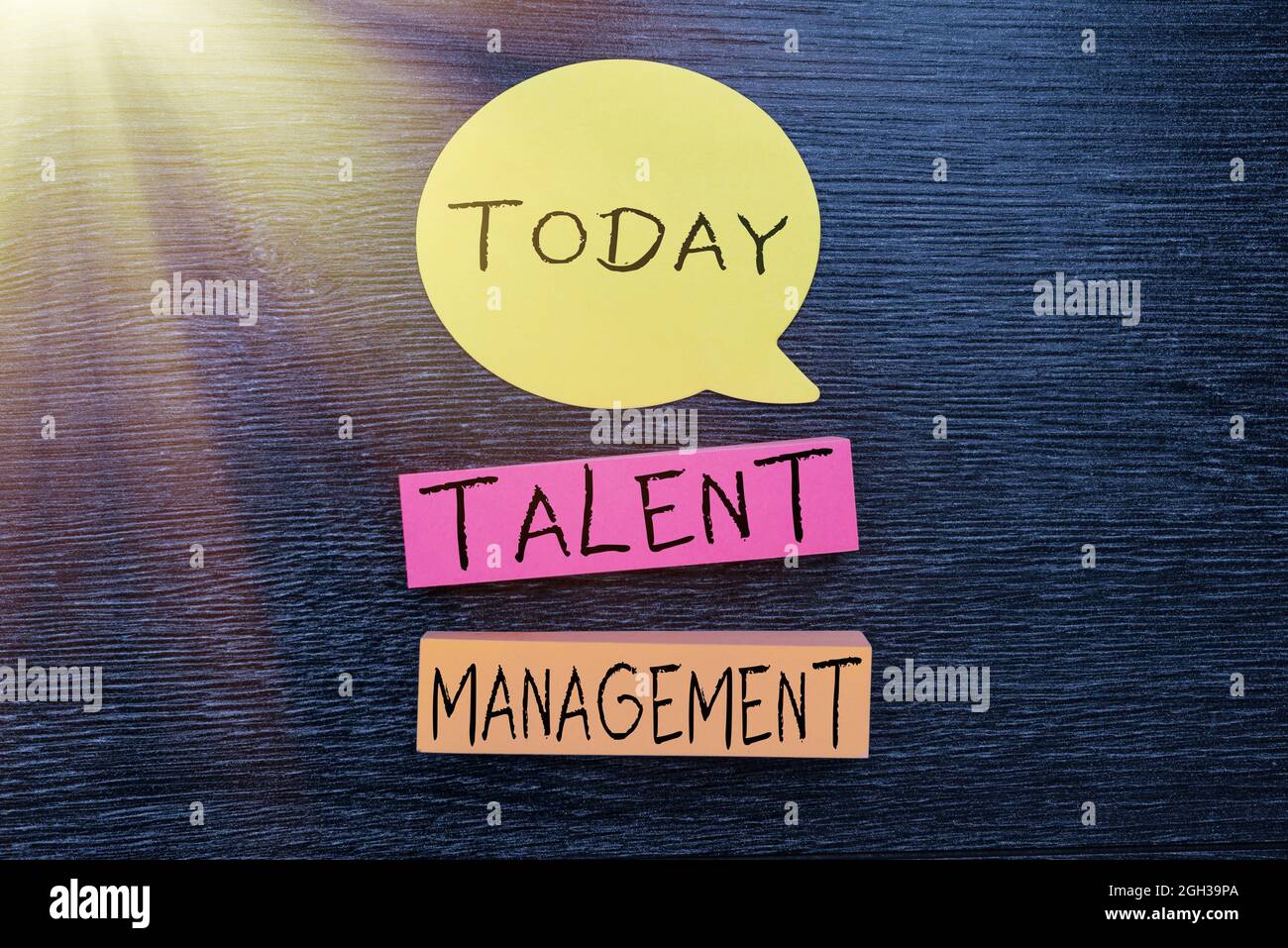 Conceptual caption Talent Management. Internet Concept anticipation of ...