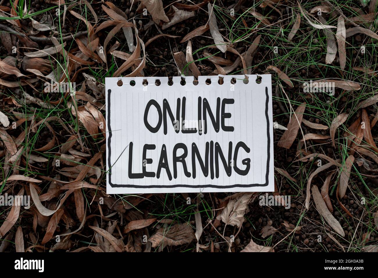 Inspiration showing sign Online Learning. Internet Concept educational ...