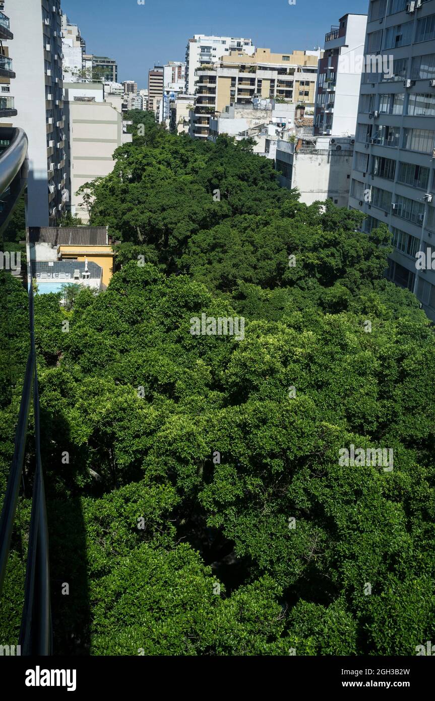 Overview of tree-lined street in Ipanema quarter Stock Photo - Alamy