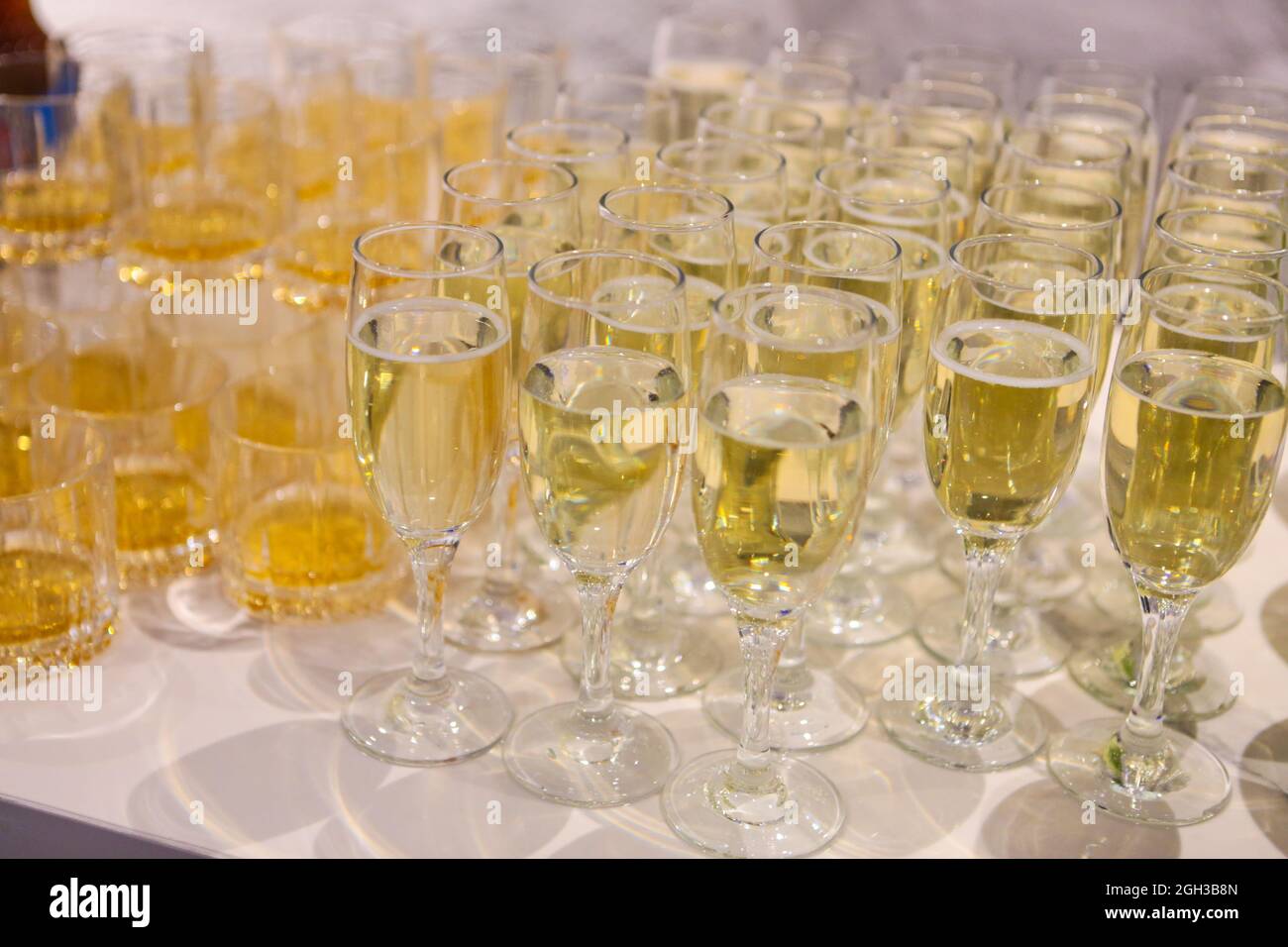 A lot of glasses with champagne on the buffet table. Alcohol cocktail ...