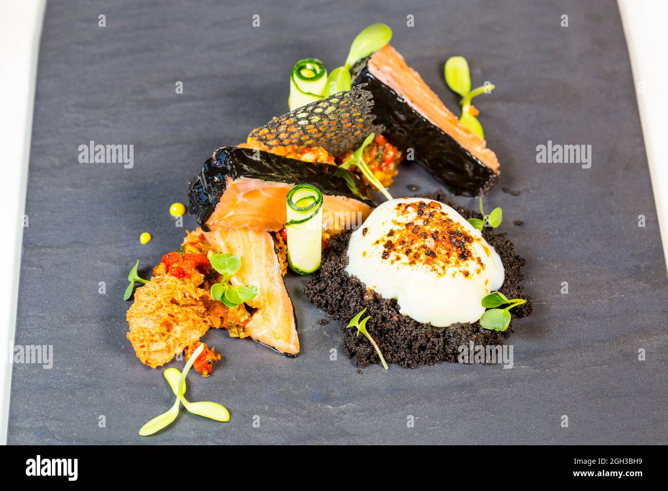 Confiture of salmon with cuttlefish ink with tomato sponge and egg suv ...