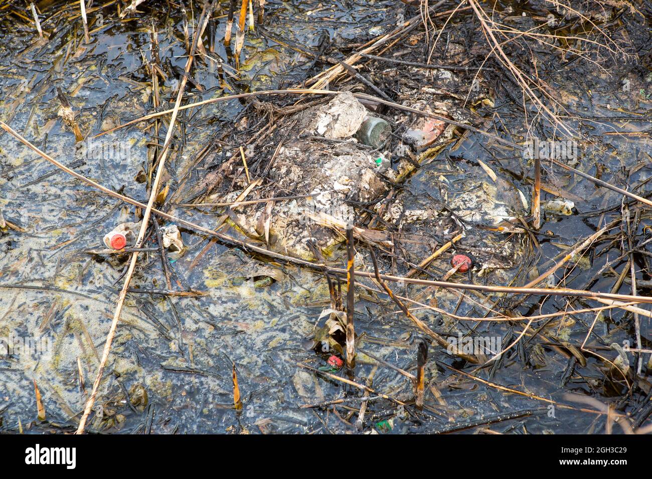 Dirty water. Ecological catastrophe, the river is polluted with rubbish ...