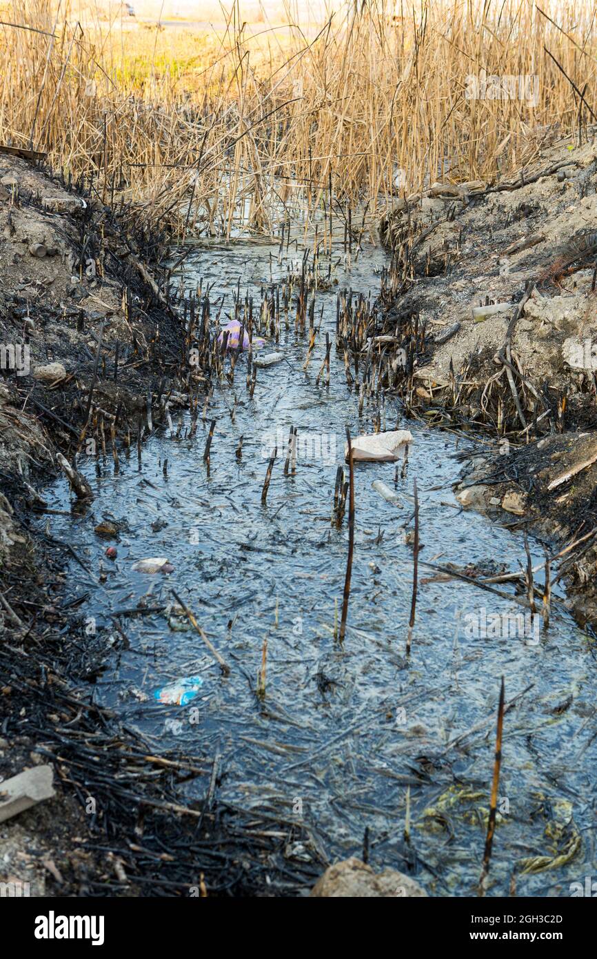 Dirty water. Ecological catastrophe, the river is polluted with rubbish ...
