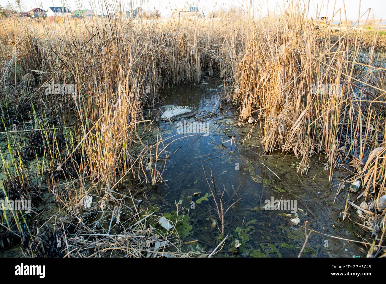 Dirty water. Ecological catastrophe, the river is polluted with rubbish ...