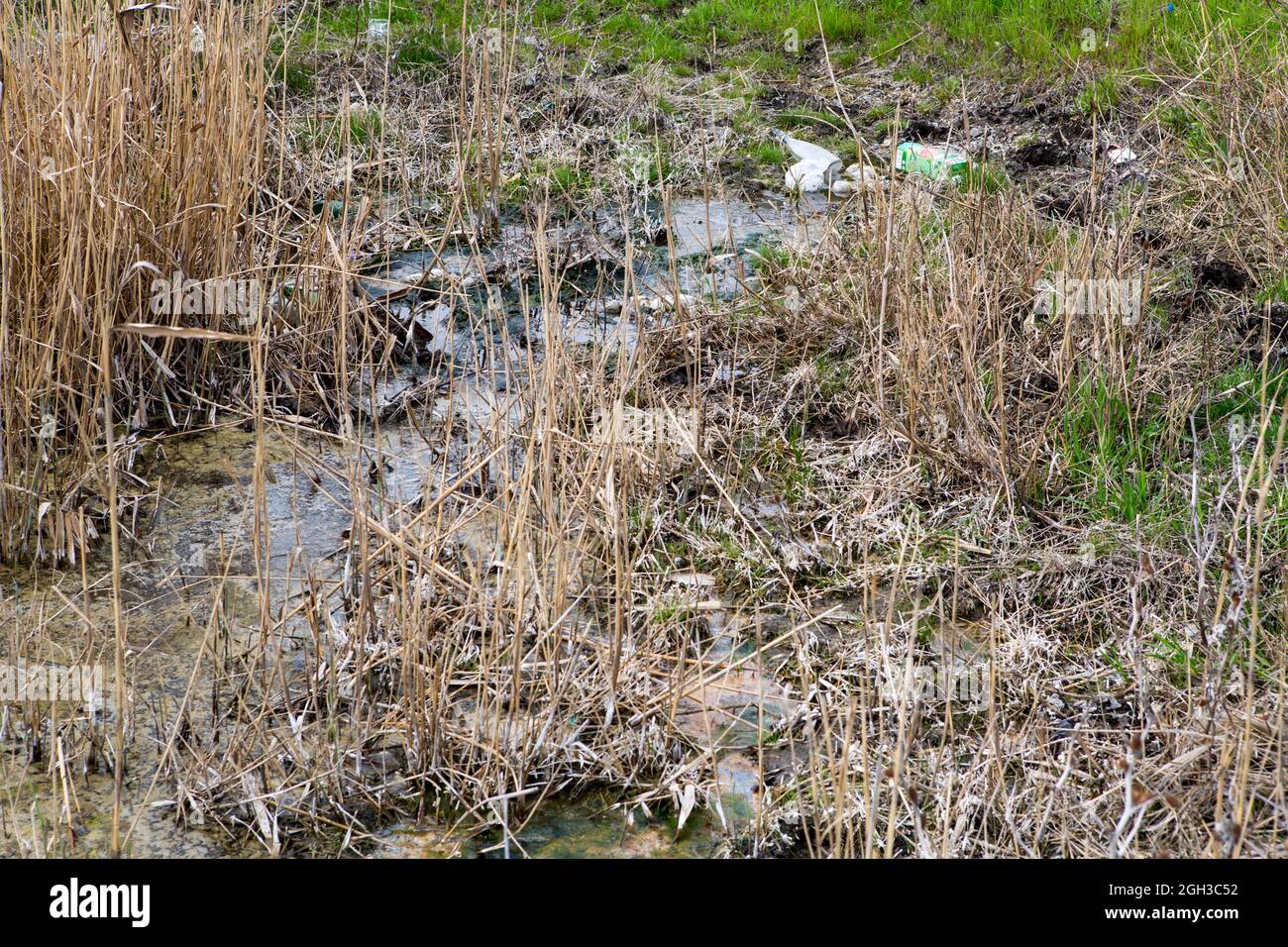 Dirty water. Ecological catastrophe, the river is polluted with rubbish ...