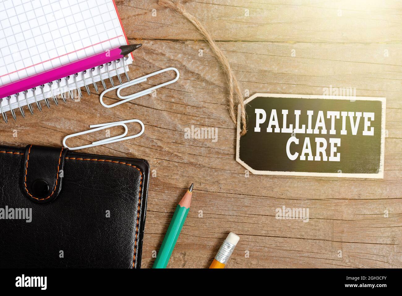 Inspiration showing sign Palliative Care. Business approach specialized ...