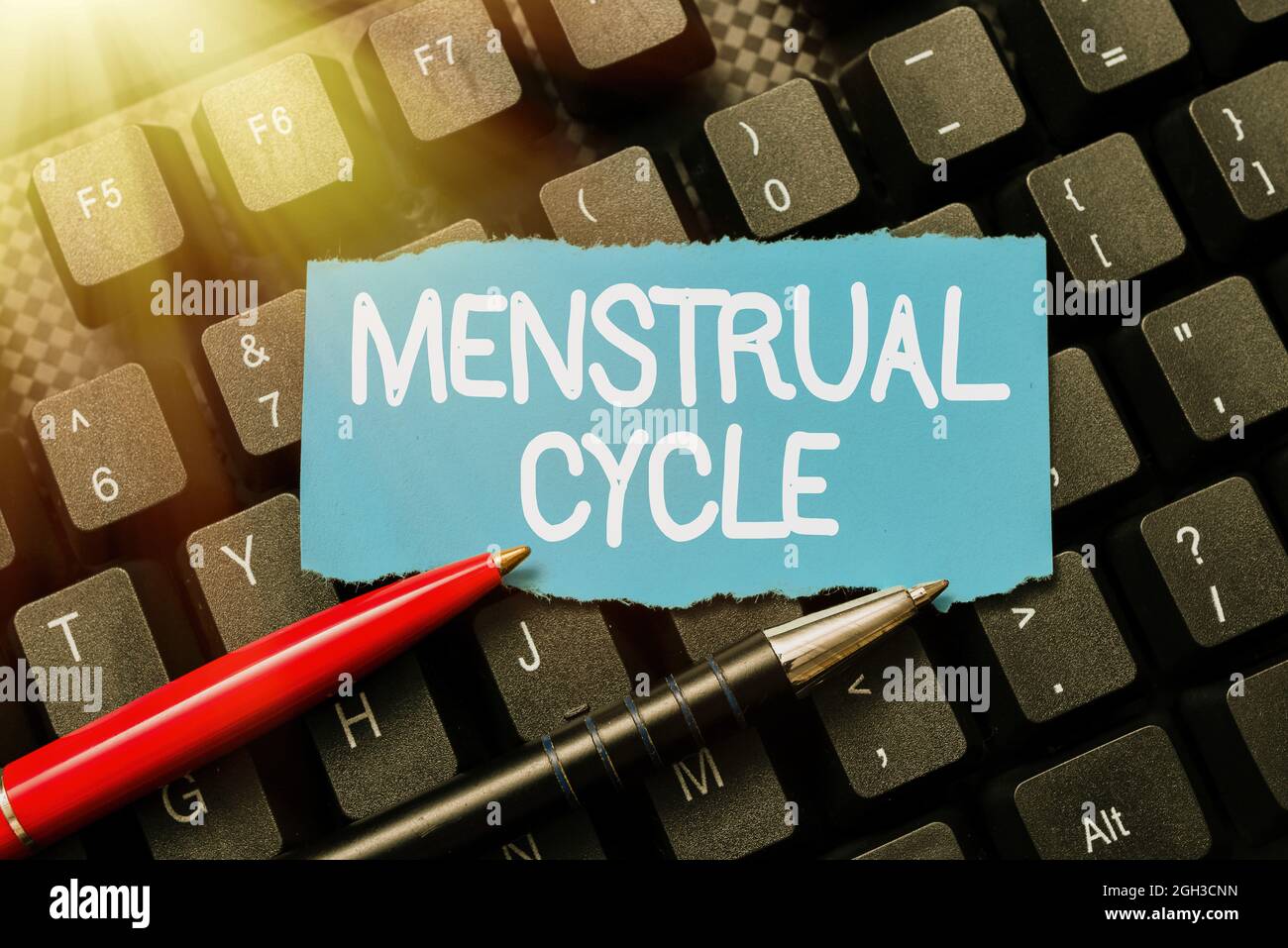Text sign showing Menstrual Cycle. Business overview monthly cycle of ...