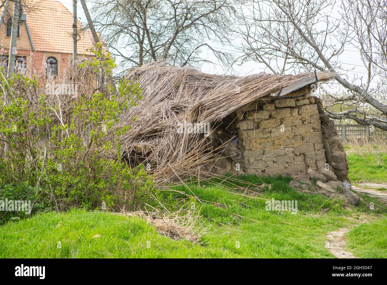 Ruined old house. Ruins of a house made of shell rock, straw and clay ...