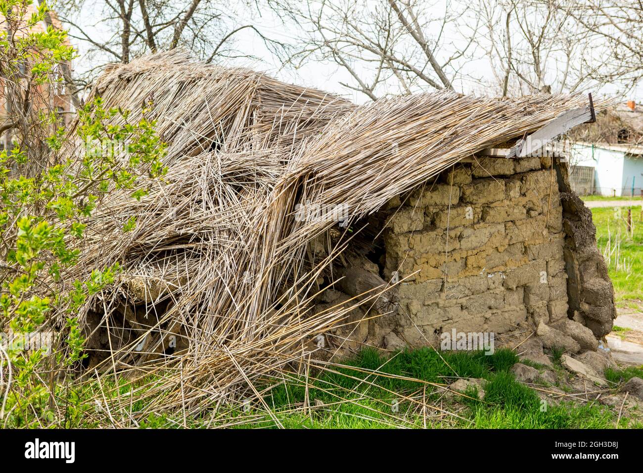 Ruined old house. Ruins of a house made of shell rock, straw and clay ...