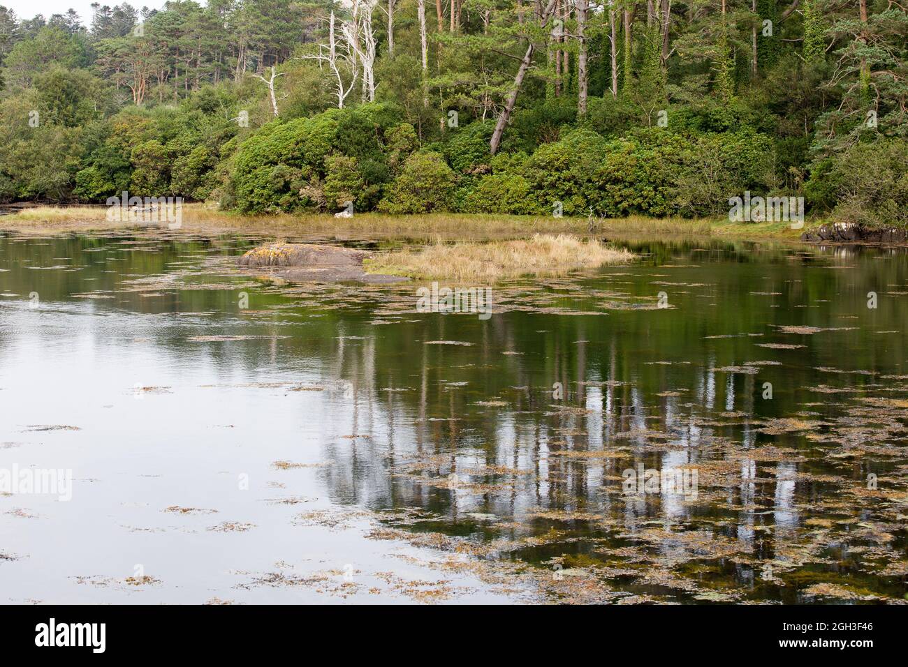 Lauragh ireland hi-res stock photography and images - Alamy