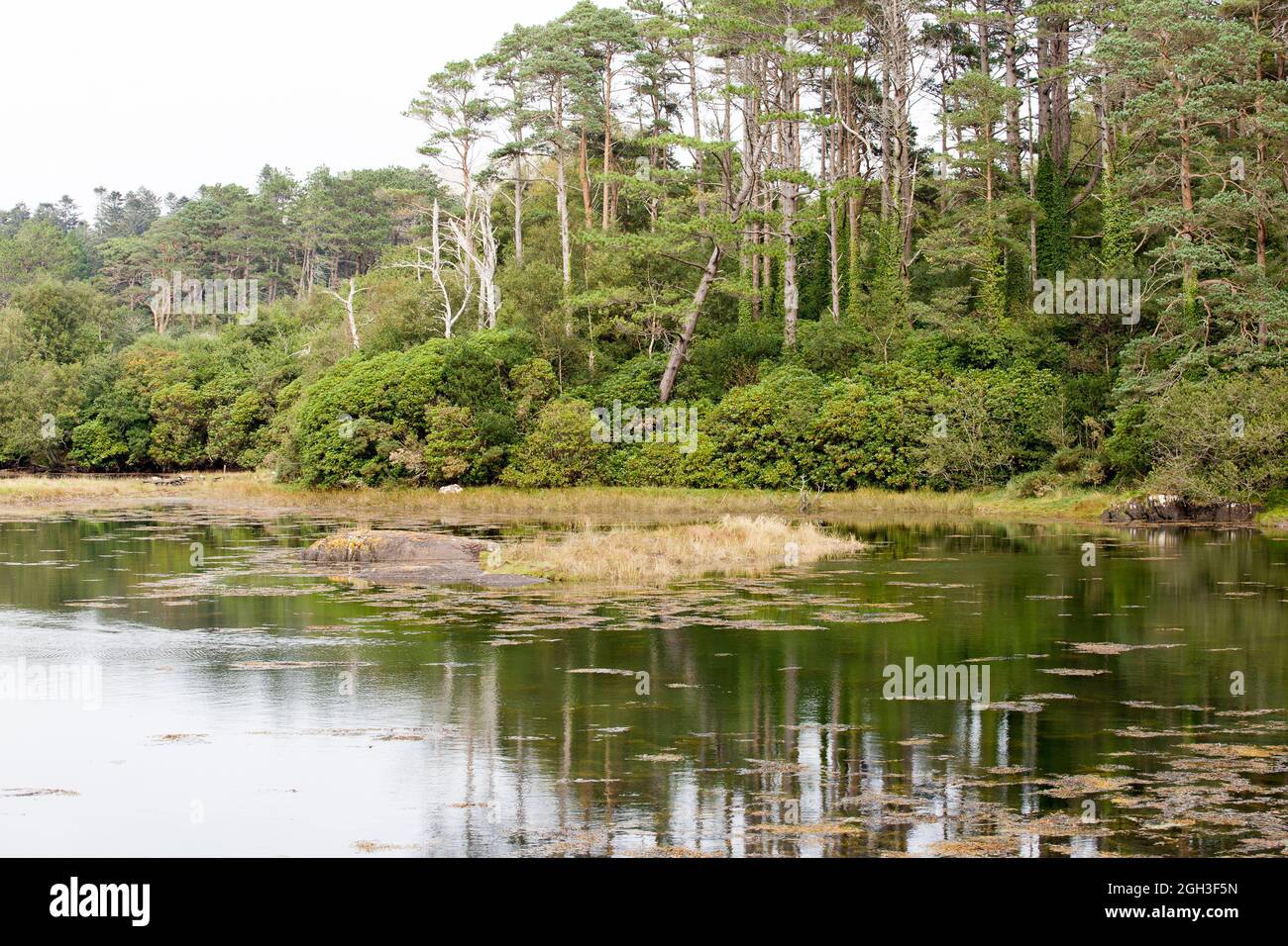 Lauragh ireland hi-res stock photography and images - Alamy