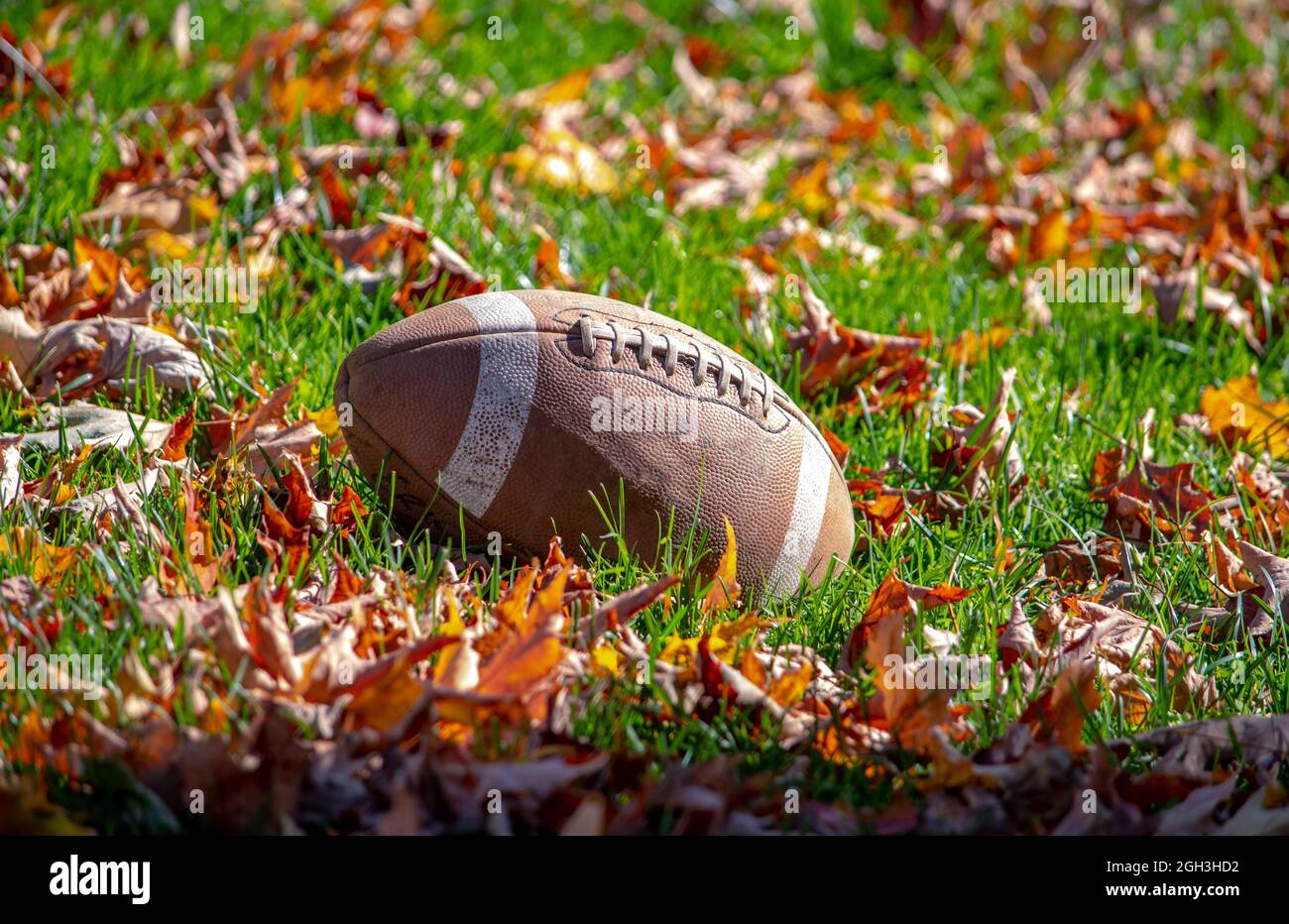 A worn football sits in a patch of leaves and grass on a school ...