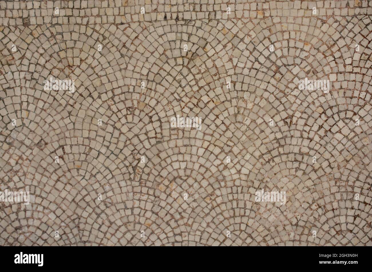 Clam shell design hi-res stock photography and images - Alamy