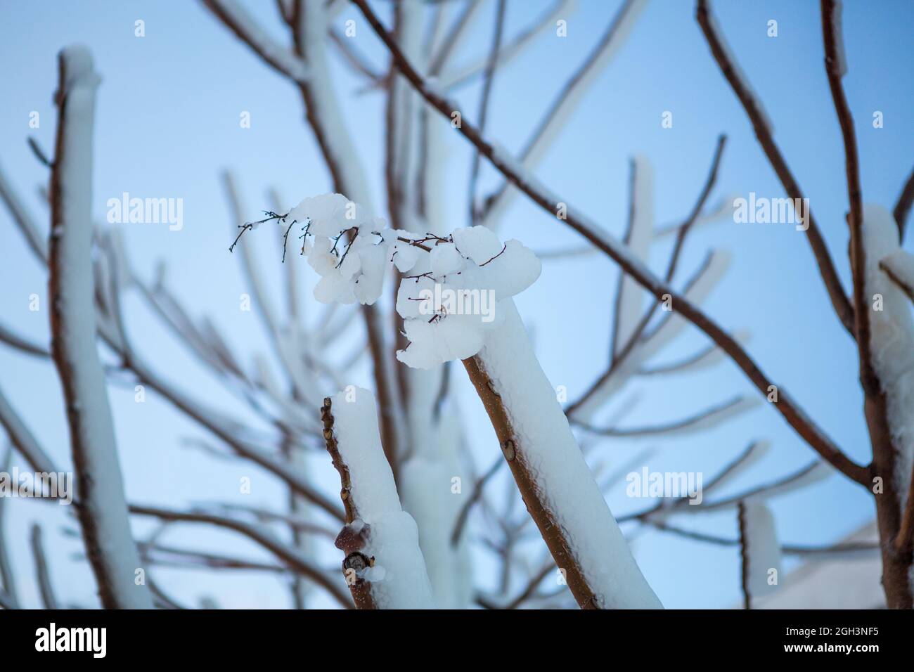 Icing. Winter natural disaster icing sea promenade after winter storm ...