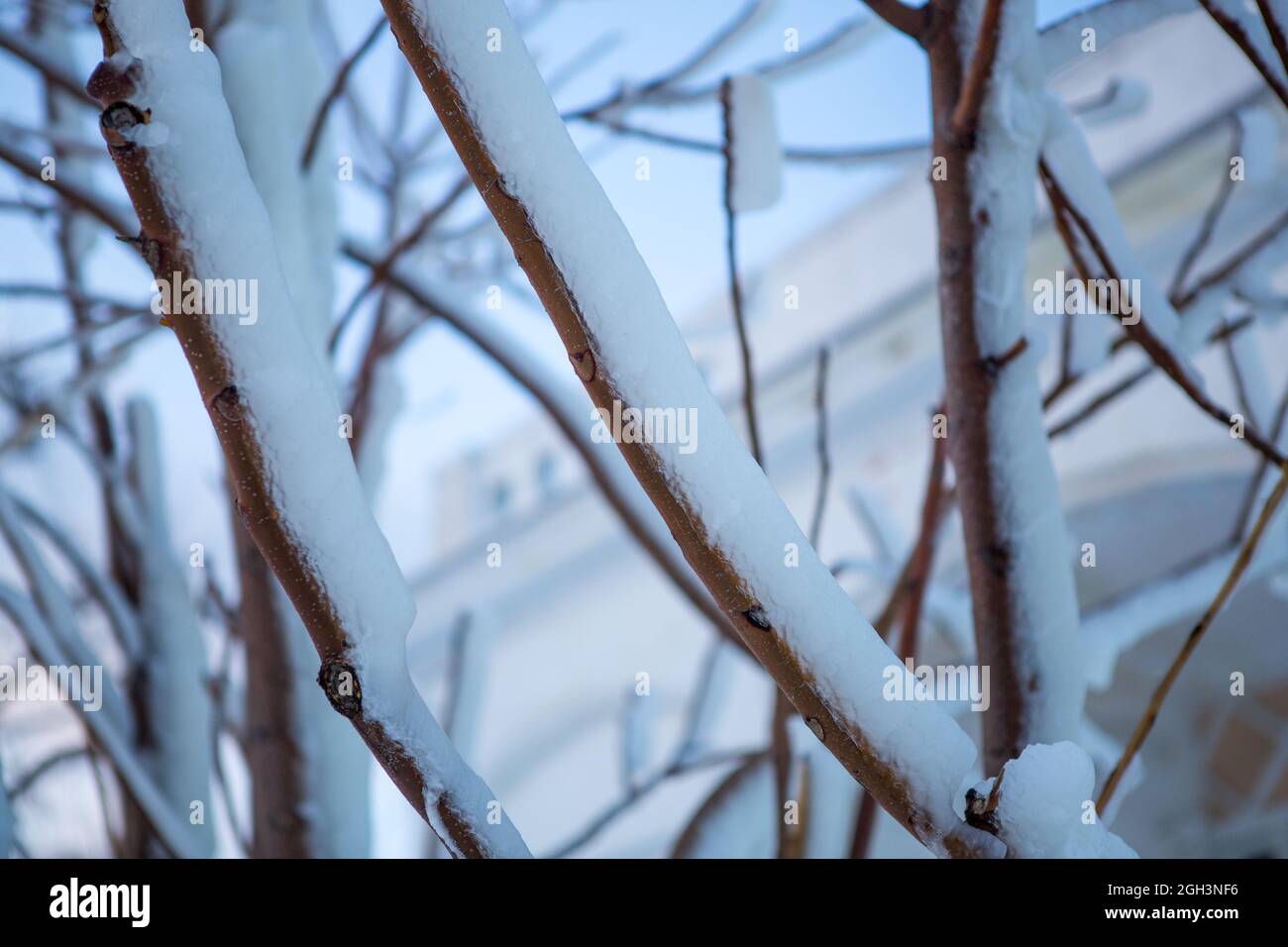Icing. Winter natural disaster icing sea promenade after winter storm ...