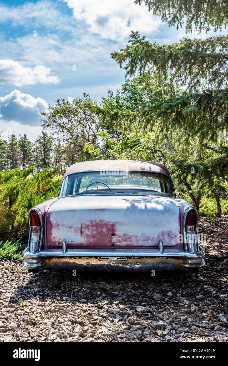 An abandoned vintage car surrounded by trees Stock Photo - Alamy