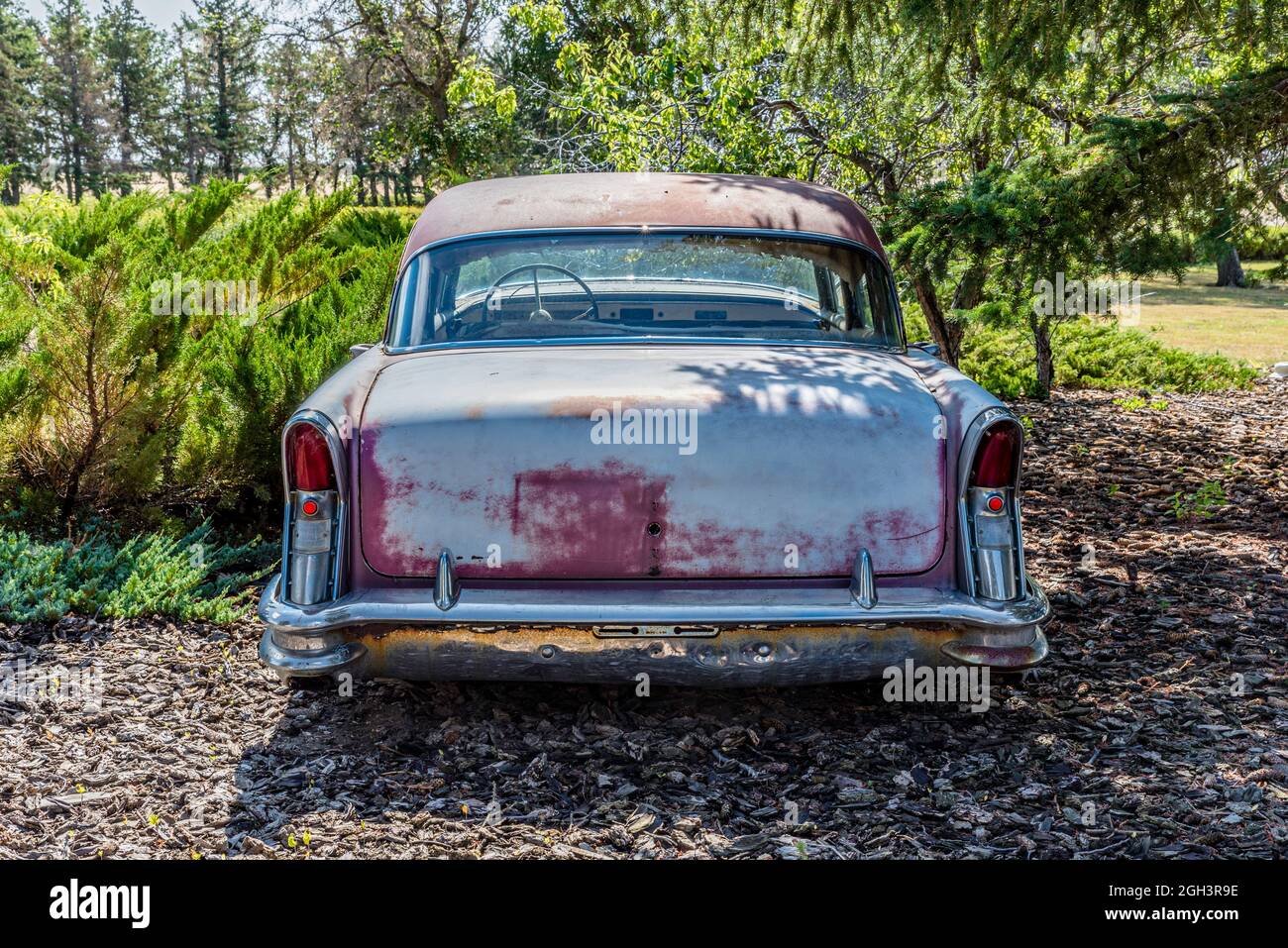 An abandoned vintage car surrounded by trees Stock Photo - Alamy