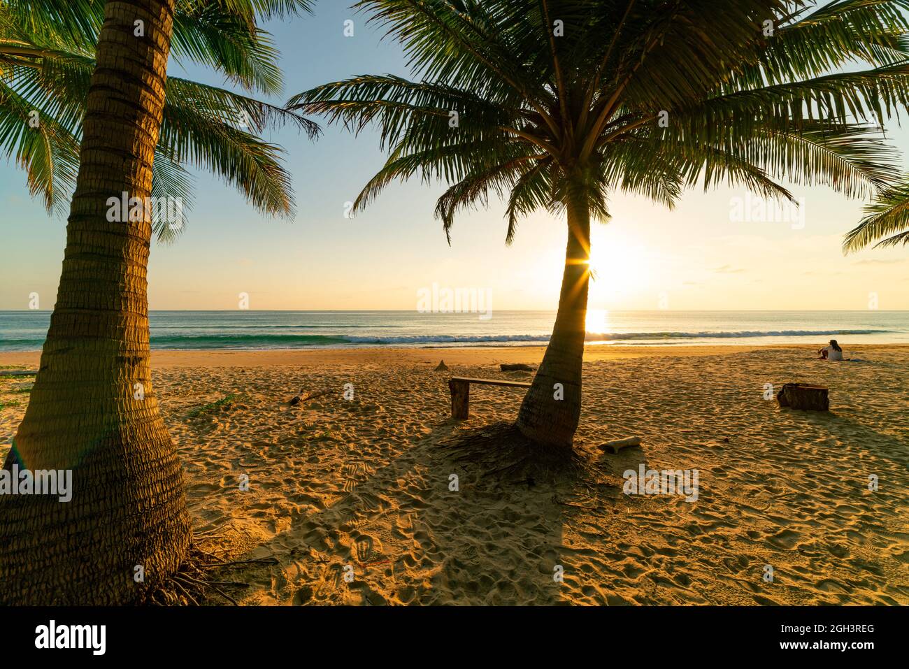 Beach autumn vacations concept background Nature frame with coconut ...