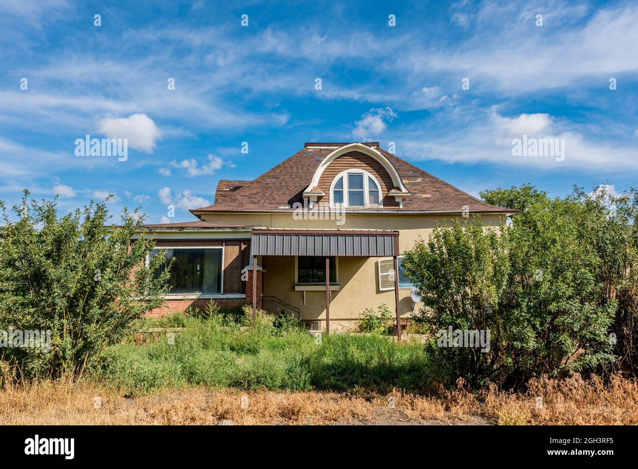 Overgrown yard outside building hi-res stock photography and images - Alamy