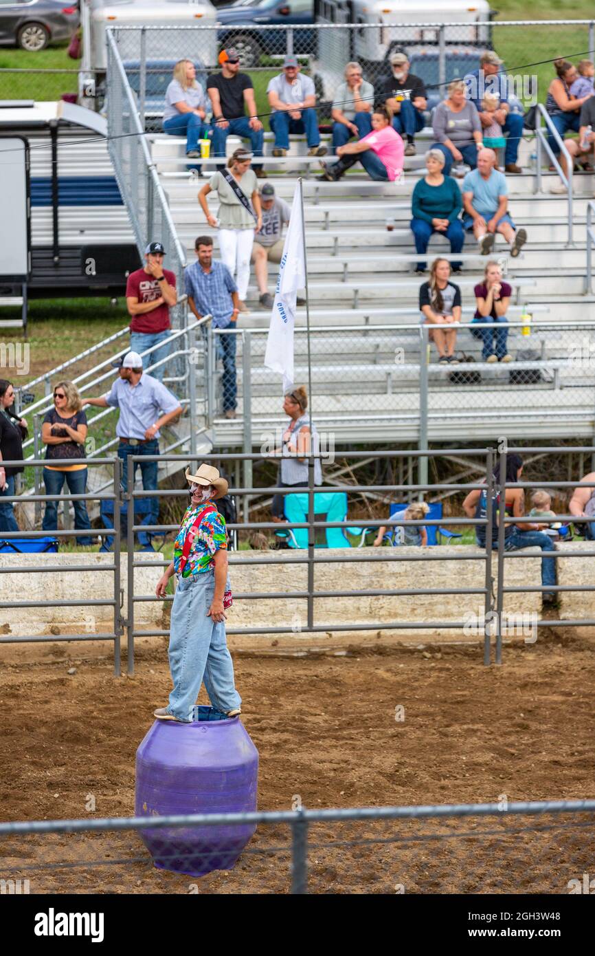 A barrelman, AKA: rodeo clown, entertains the crowd at an A Bar Rodeo ...