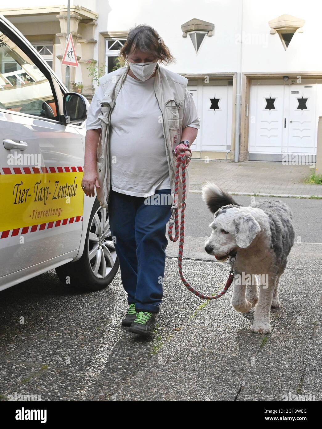 Alamy live news bobtail hi-res stock photography and images - Alamy