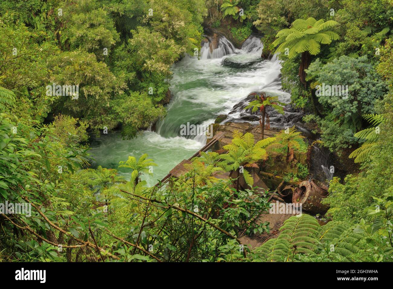 Okere Falls near Lake Rotorua, New Zealand. The ruins of the old 1901 ...