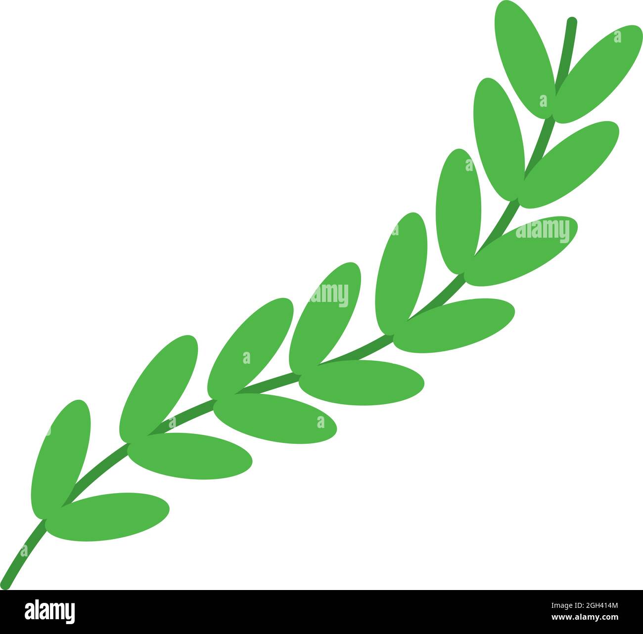 stem with leaves on white background Stock Vector Image & Art - Alamy