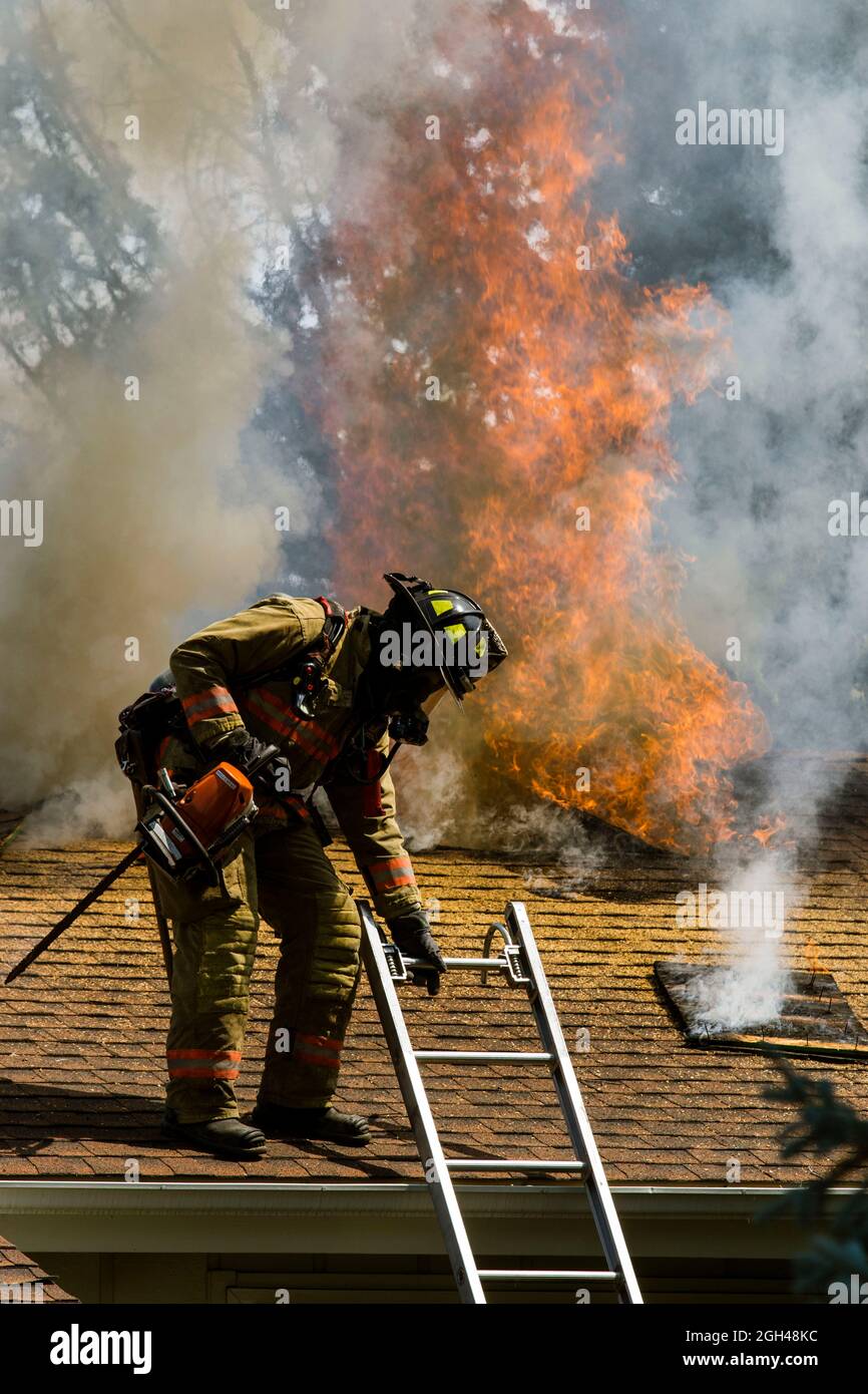 Firefighter On Roof