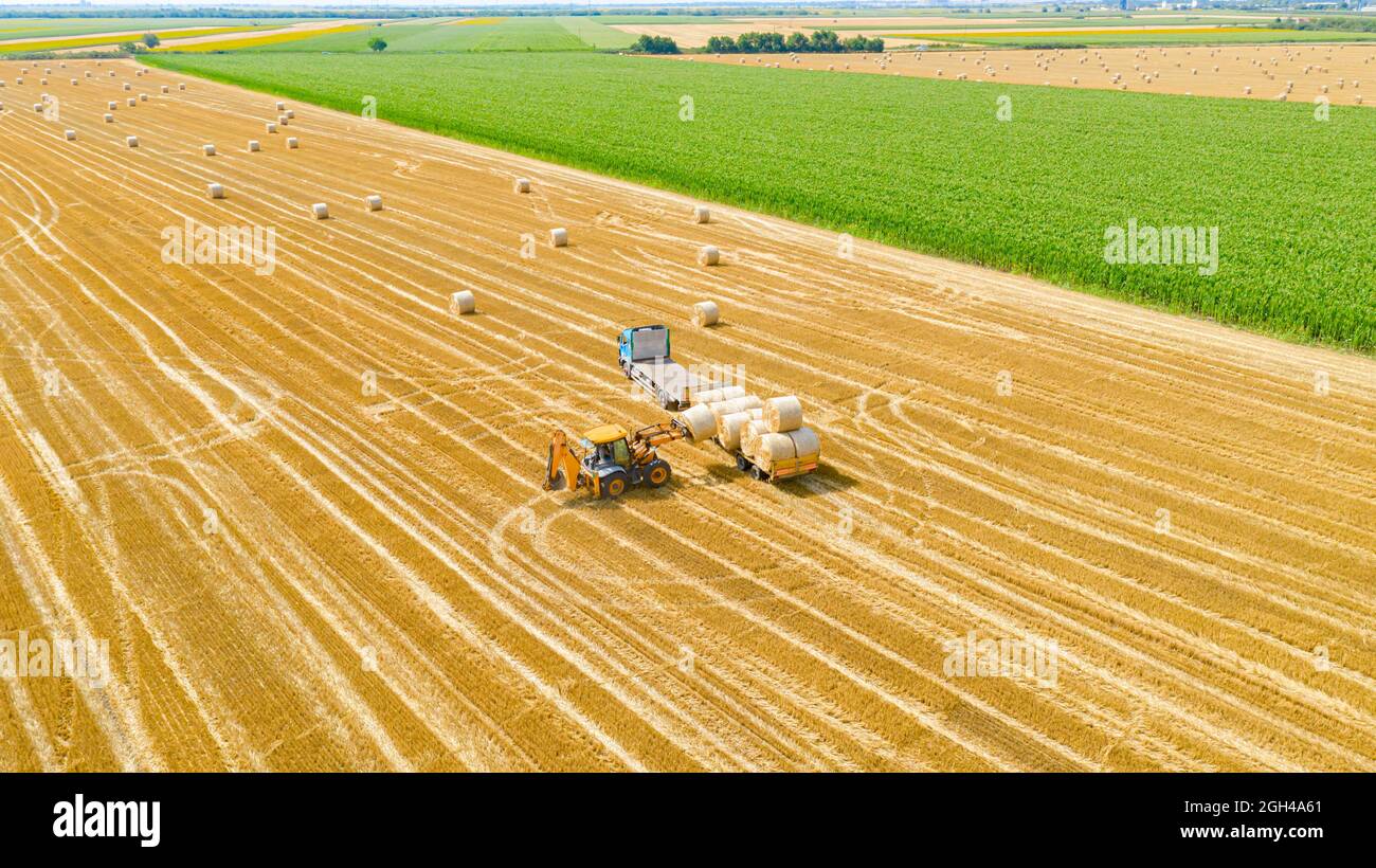 Above view on excavator as loading straw bales on trailer, tow by truck ...