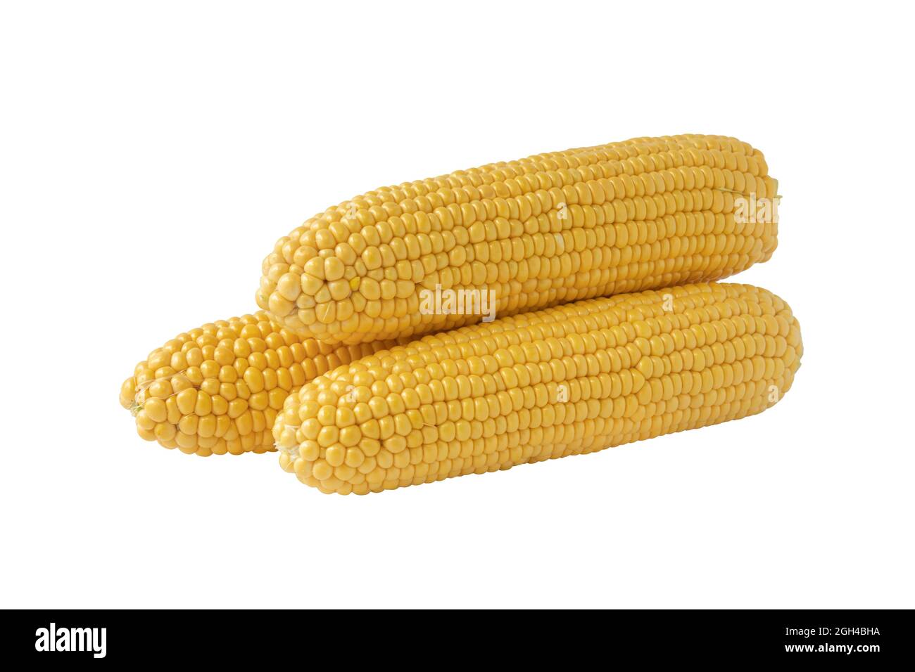 three ears of corn without leaves isolated on white background, whole ...