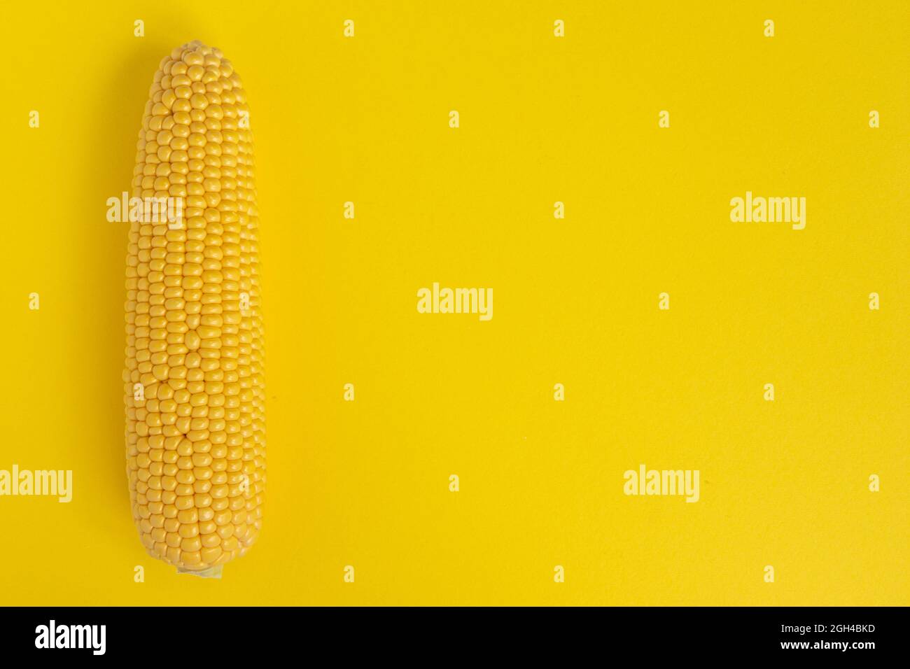 fresh corn cob with empty space for text isolated on yellow background ...