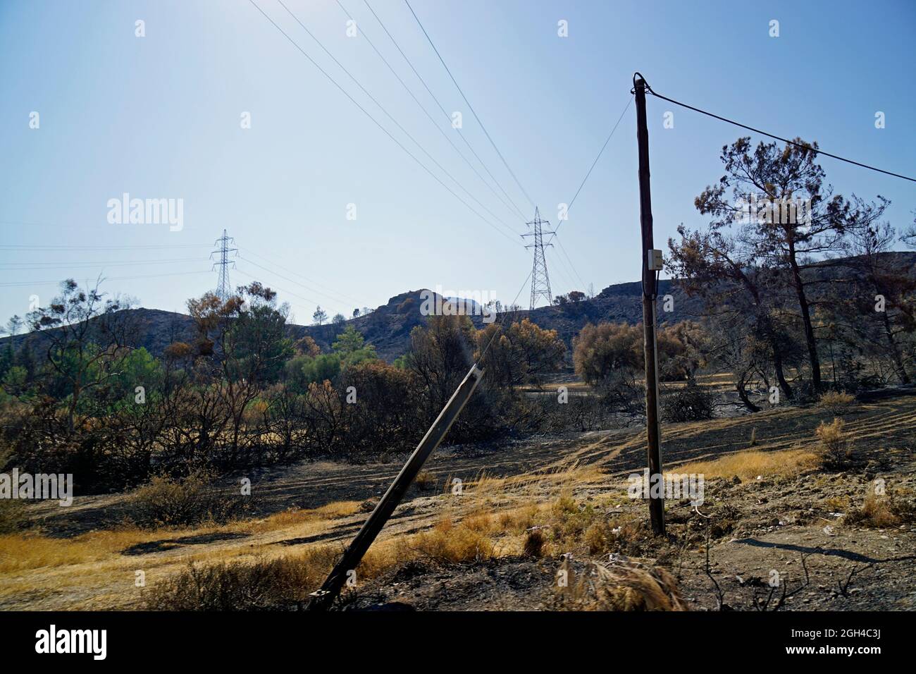scorched landscape on rhodes island in greece after forest fire Stock ...
