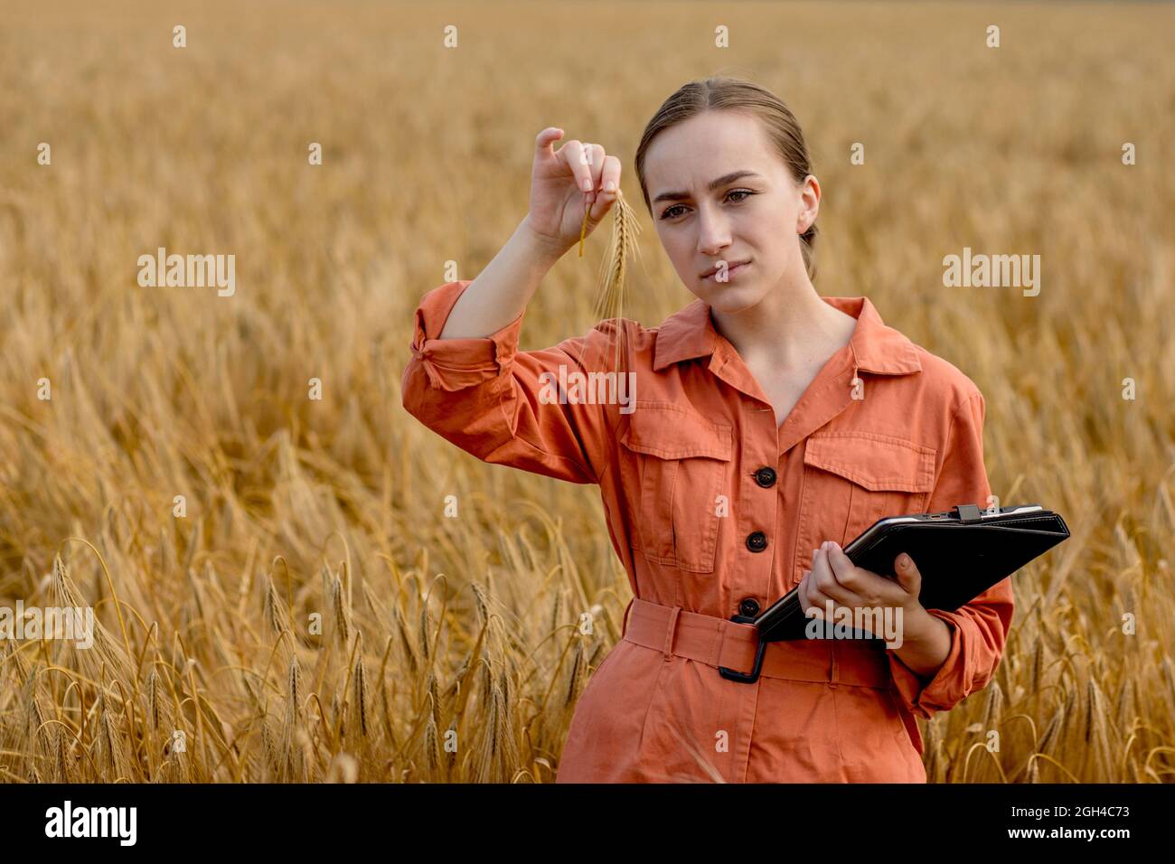 Agronomist holding test tube with barley grains in field, closeup ...