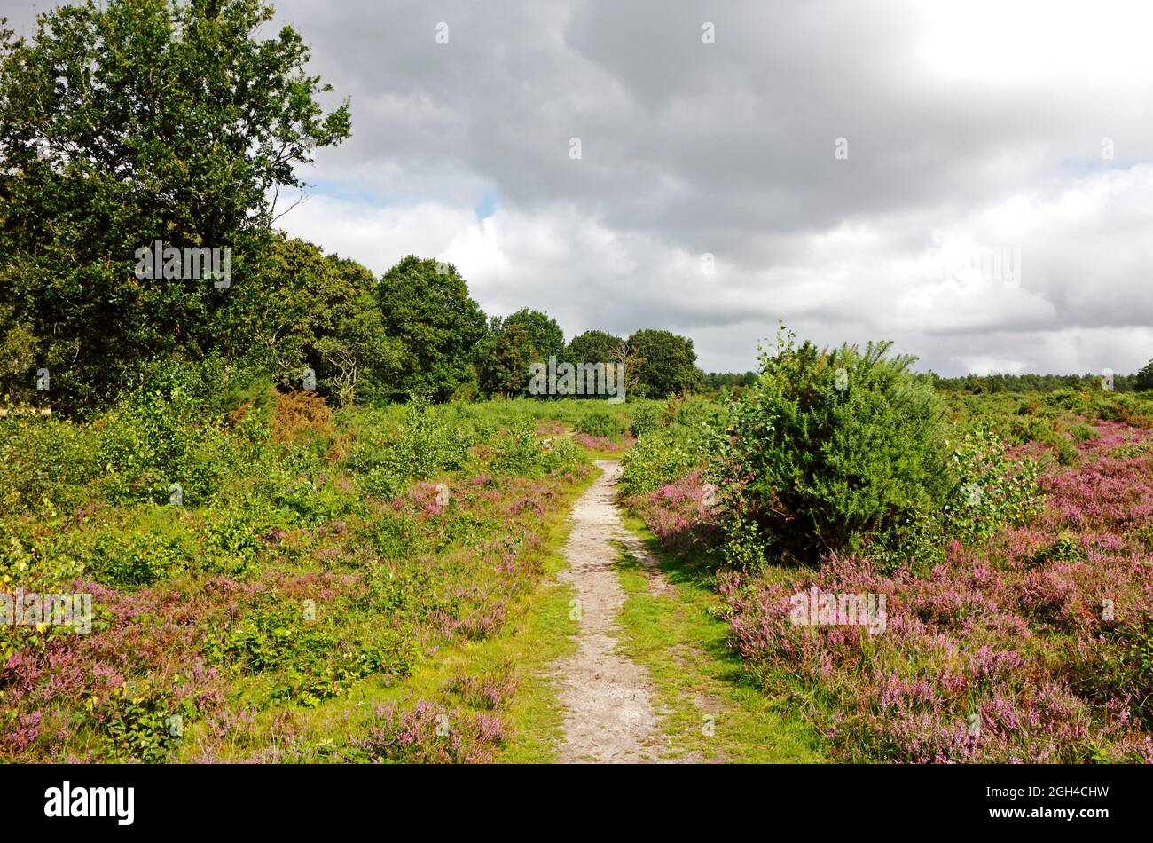 A view of a footpath at the western side of the SSSI and Nature Reserve ...