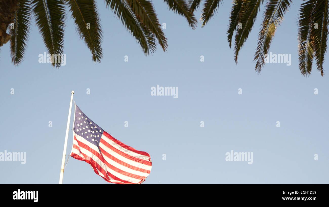 Palms and american flag, Los Angeles, California USA. Summertime ...