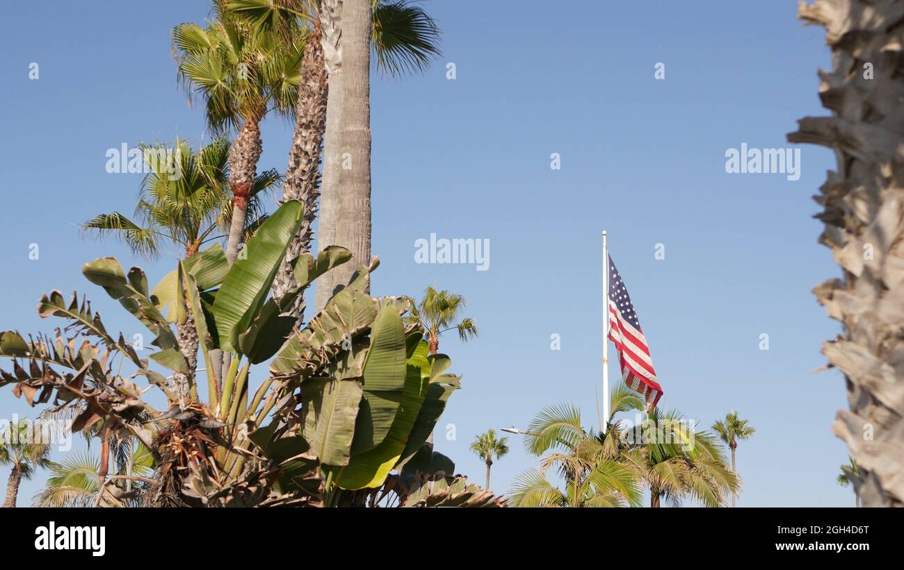 Palms and american flag, Los Angeles, California USA. Summertime ...