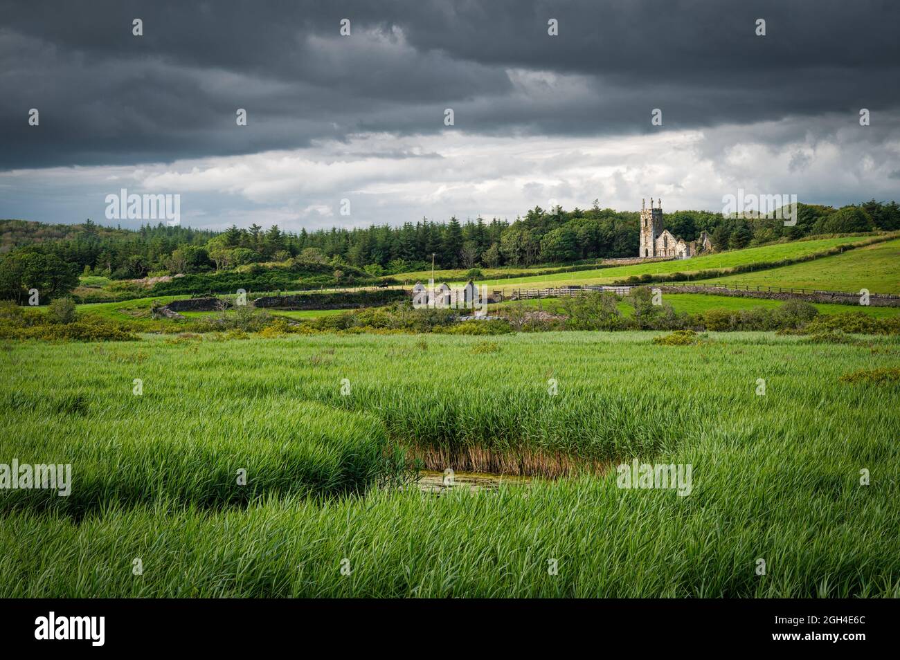 Castlefreke landscape hi-res stock photography and images - Alamy