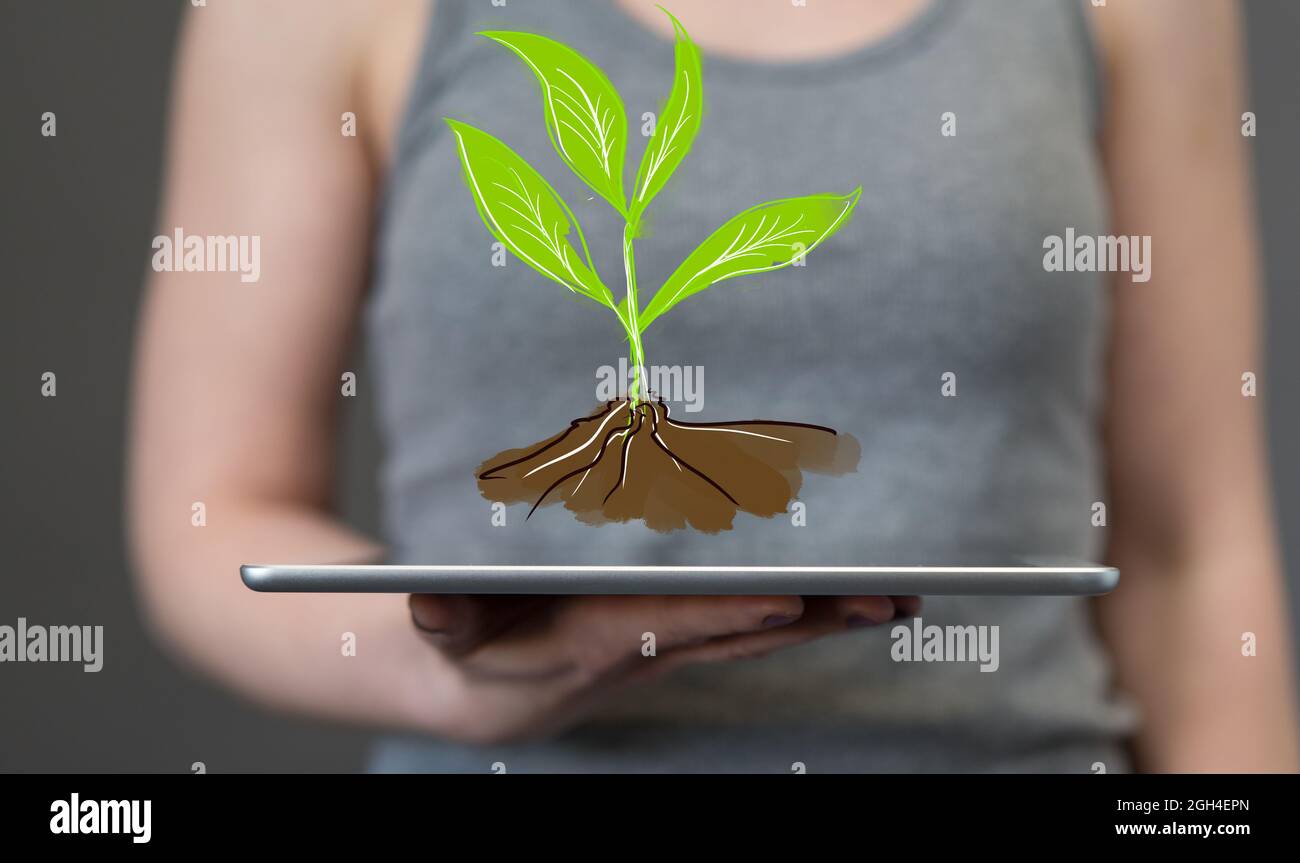 An illustration of a growing plant on a tablet as an environment ...