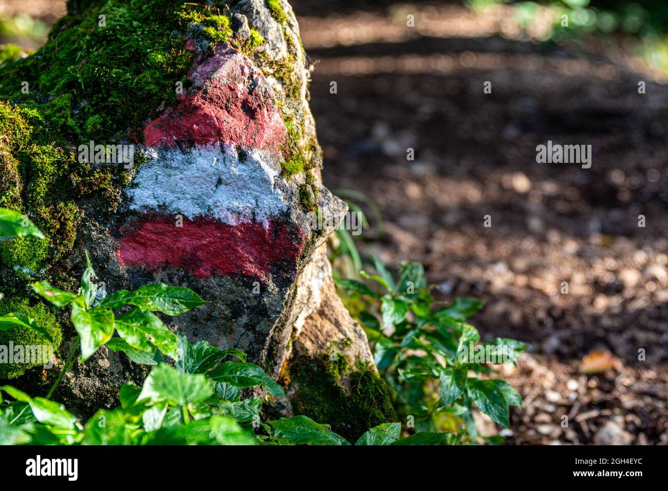 Tyrolia hi-res stock photography and images - Alamy