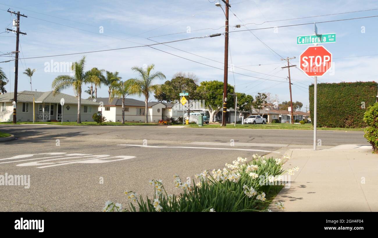 Houses on suburban street in California USA, Oceanside. Generic ...