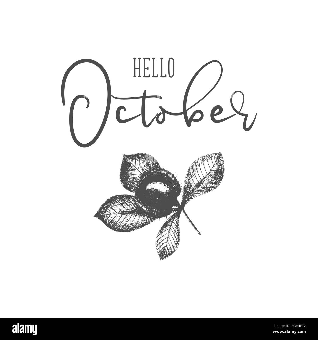 Hello October vector chestnut template hand drawing, design for banner ...