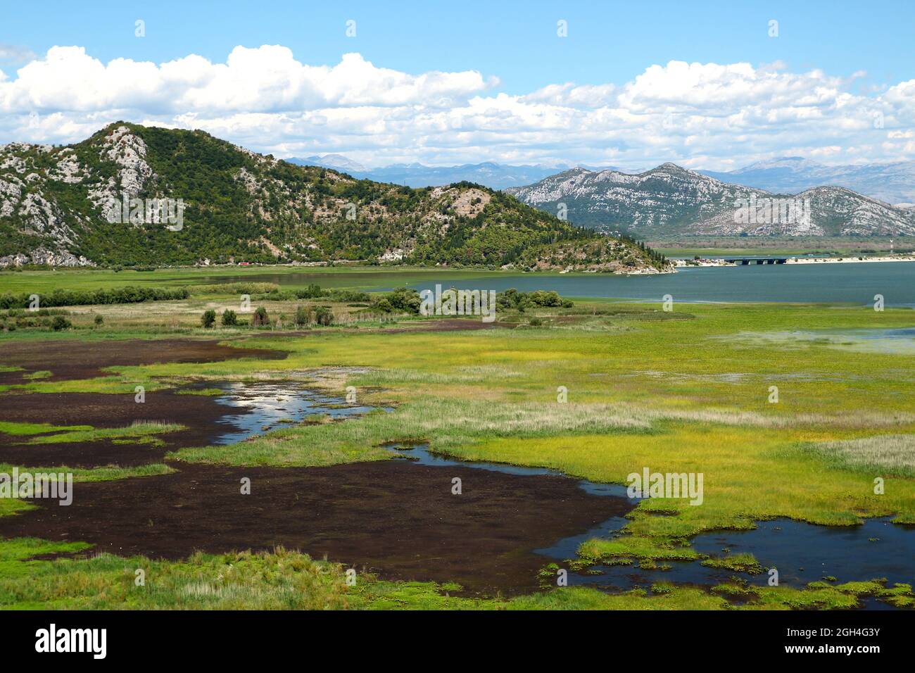 Lake Skadar in Montenegro, Bar Stock Photo - Alamy