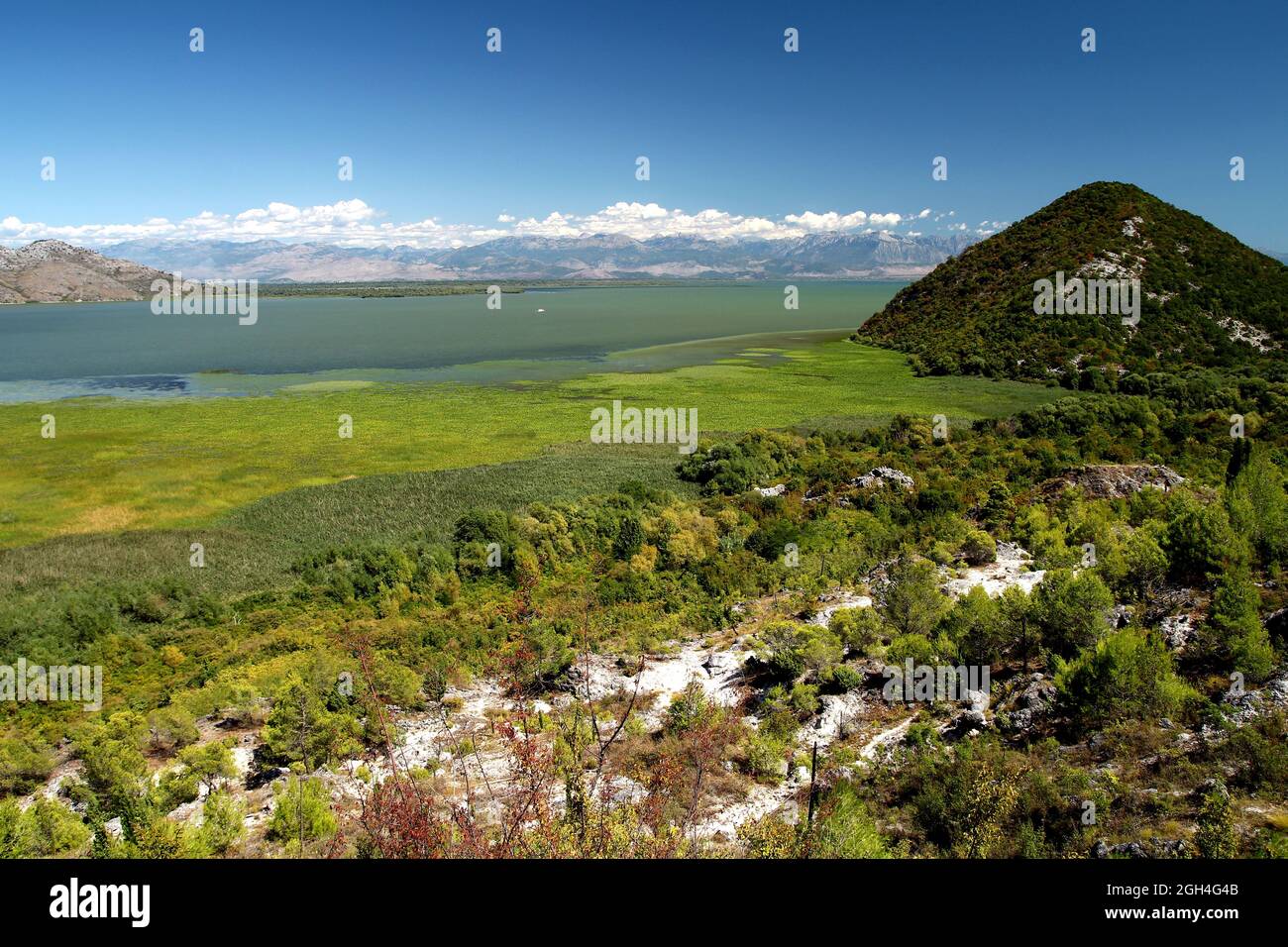 Lake Skadar in Montenegro, Bar Stock Photo - Alamy