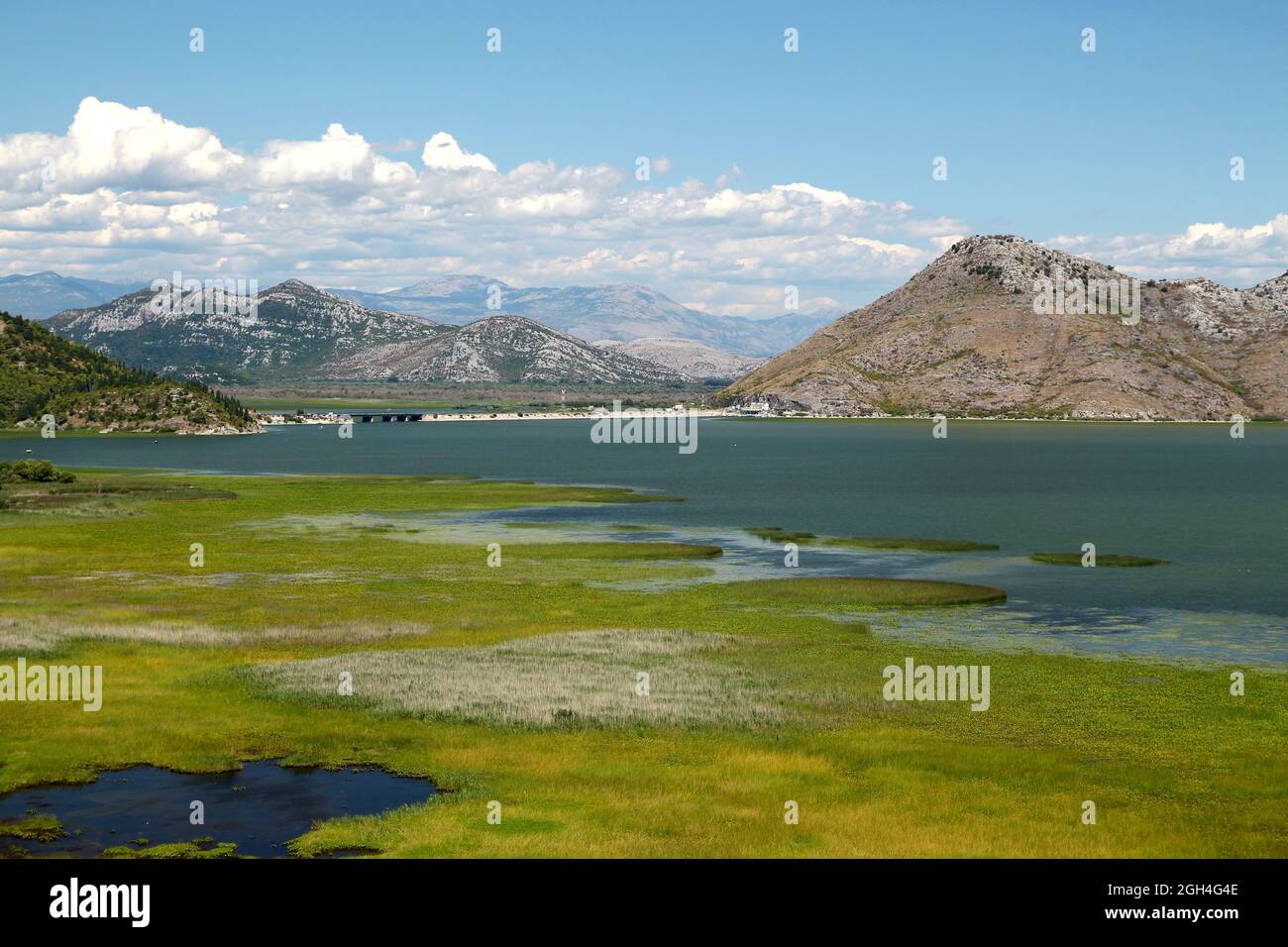 Lake Skadar in Montenegro, Bar Stock Photo - Alamy