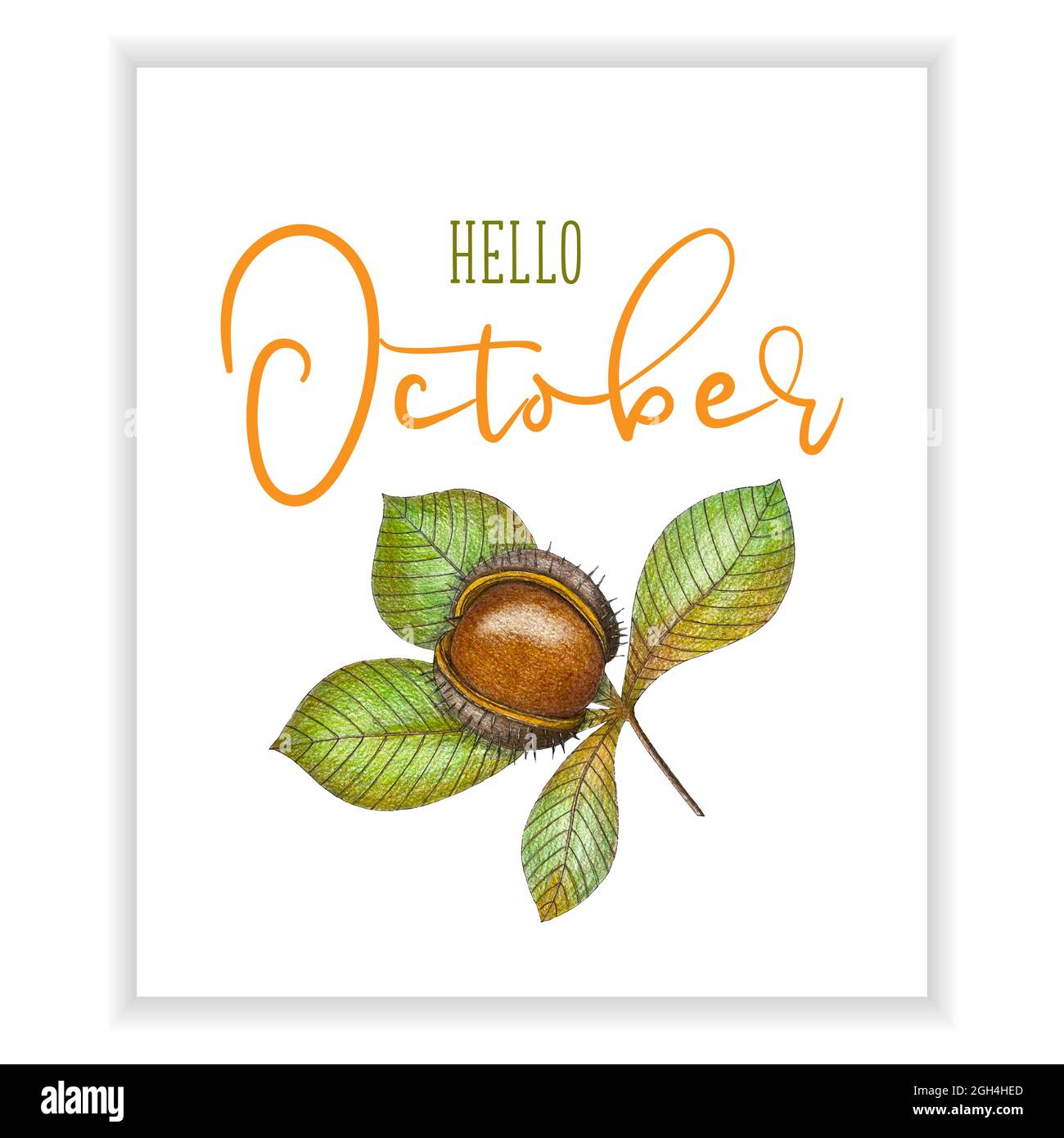 Hello October vector chestnut template pencil hand drawing, design for ...