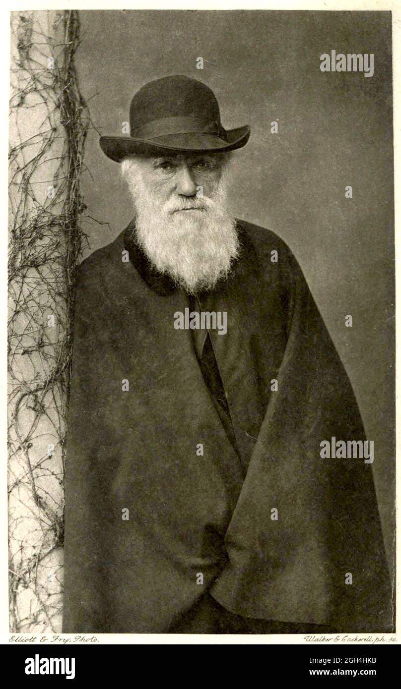 Vintage Photographic Portrait - Charles Darwin - 1881 Stock Photo - Alamy