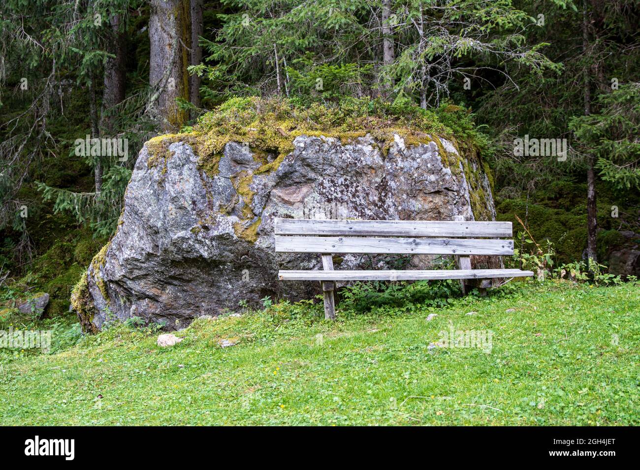 A wooden Park Bench next to a hiking trail in the Austrian Alps Stock ...